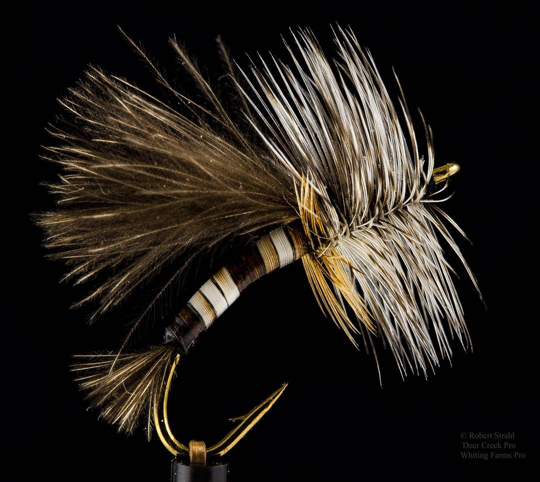 Getting Primed: An Interview with Robert Strahl – Prime Fly Company